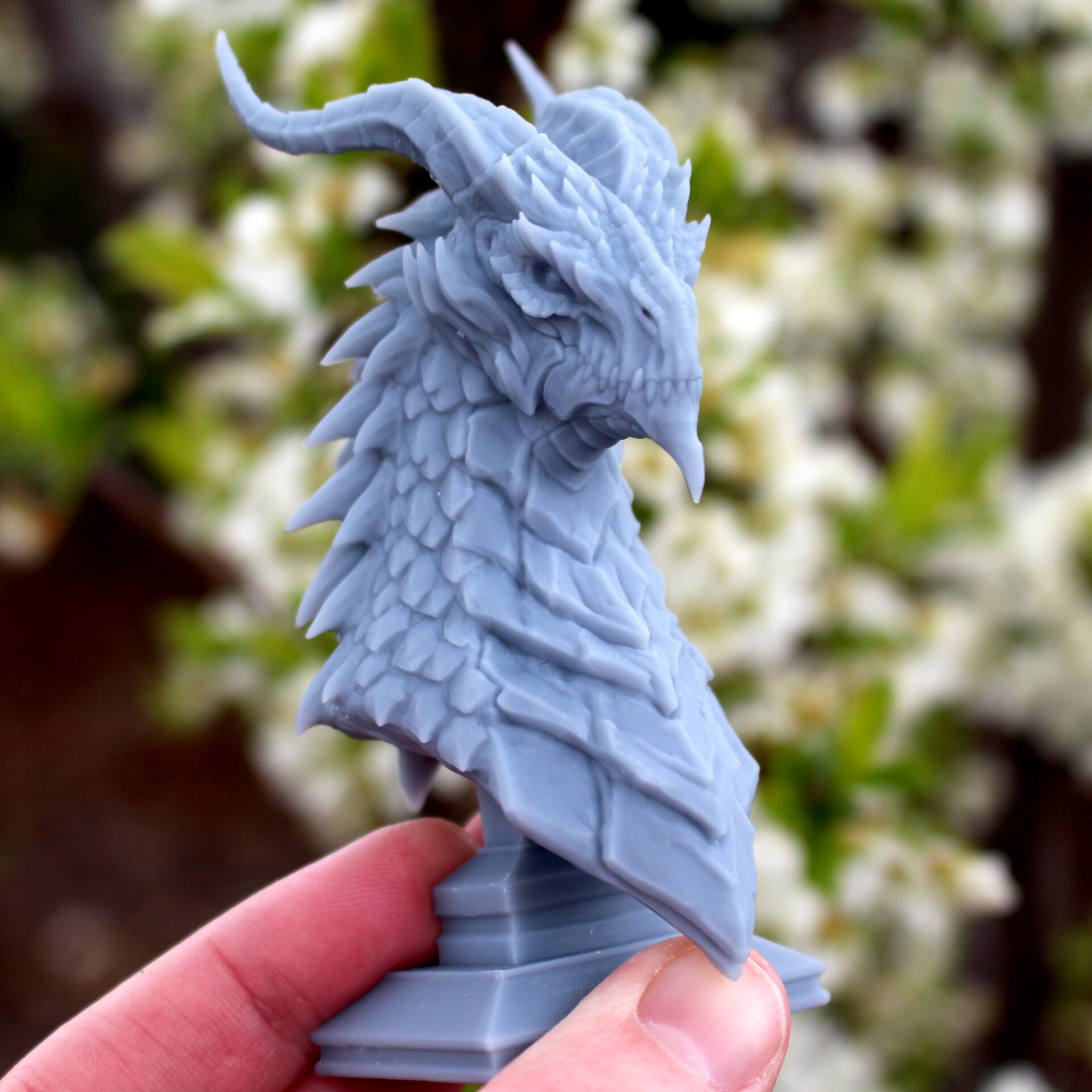 Dragon Bust - Simons Magic Shoppe