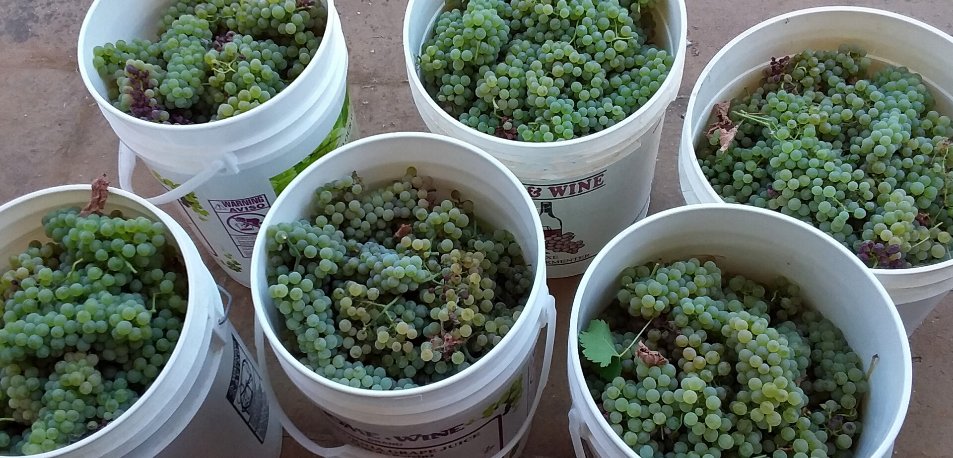 How to Motorize a Hand-Crank Grape Destemmer the Easy(ish) Way